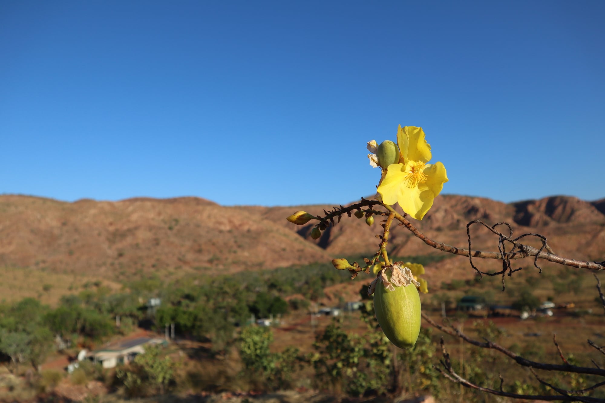 Wuggubun Campground Review: A Kimberley Oasis - What's Up Downunder