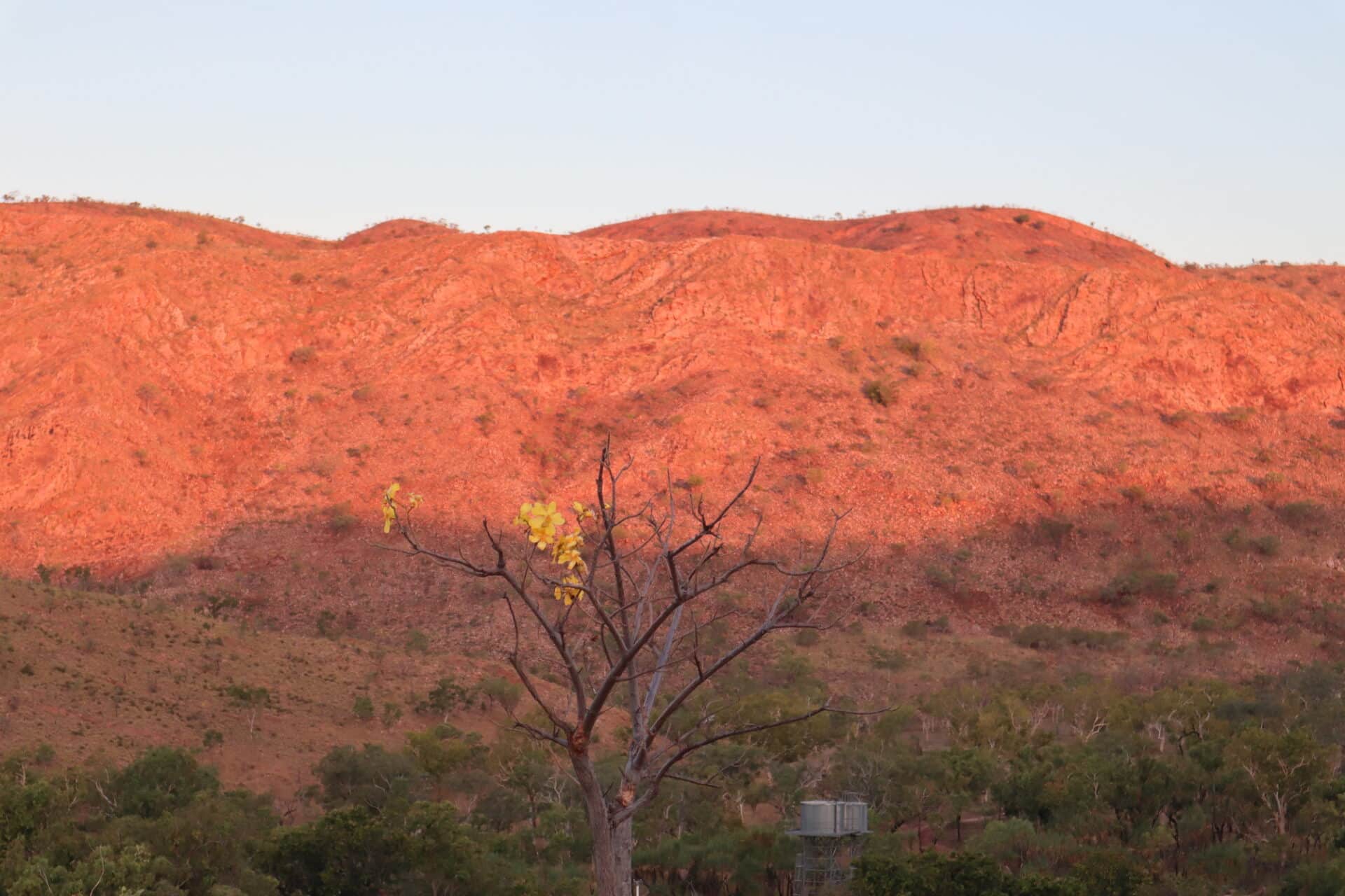 Wuggubun Campground Review: A Kimberley Oasis - What's Up Downunder