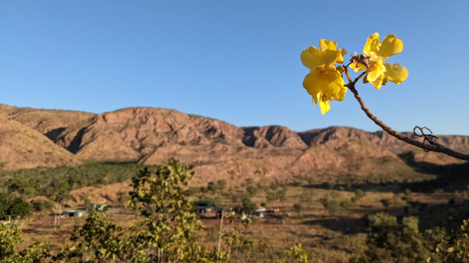 Wuggubun Campground Review: A Kimberley Oasis - What's Up Downunder