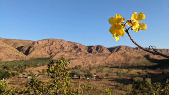 Wuggubun Campground Review: A Kimberley Oasis - What's Up Downunder