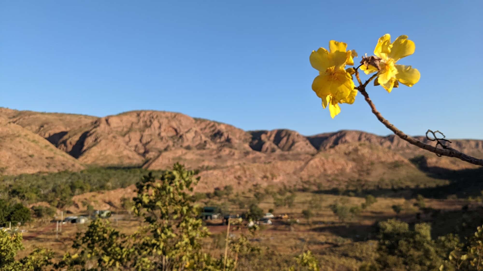 Wuggubun Campground Review: A Kimberley Oasis - What's Up Downunder